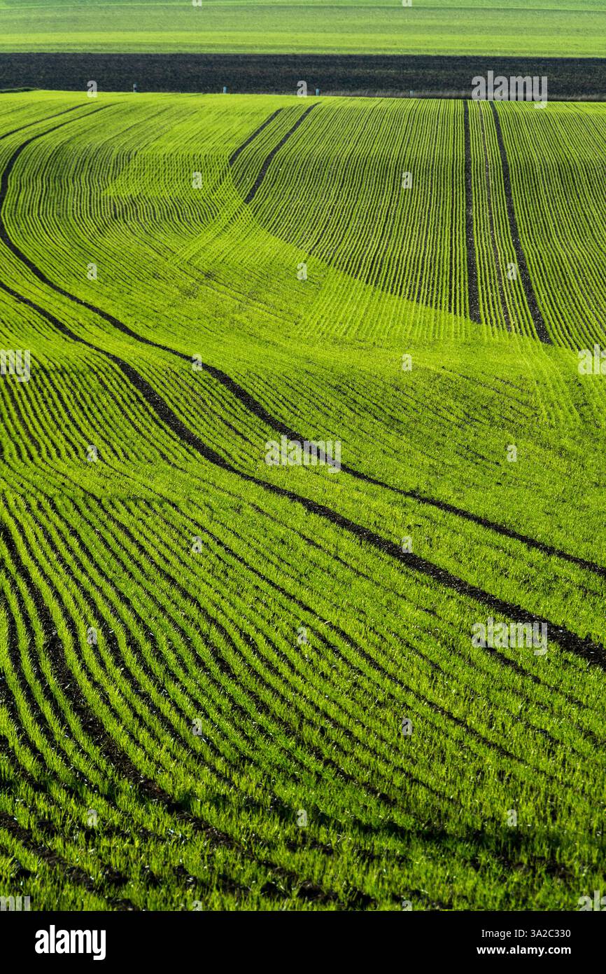 Scenic corn fields hi-res stock photography and images - Alamy