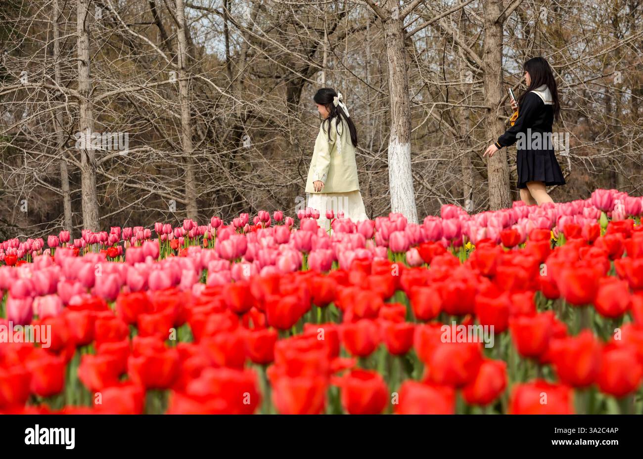 **CHINESE MAINLAND, HONG KONG, MACAU AND TAIWAN OUT** Tourists admire ...