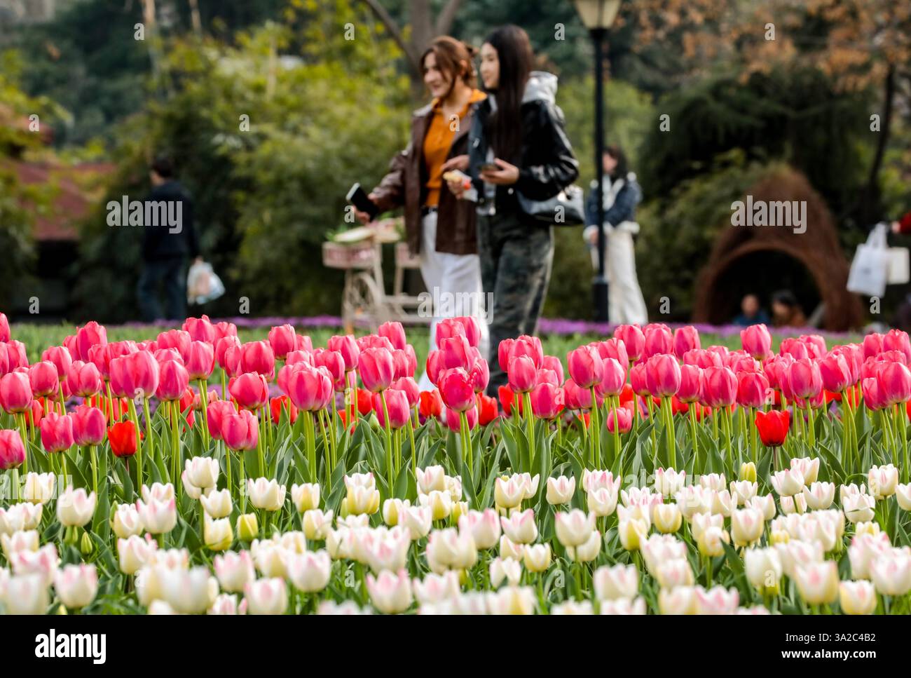 **CHINESE MAINLAND, HONG KONG, MACAU AND TAIWAN OUT** Tourists admire ...