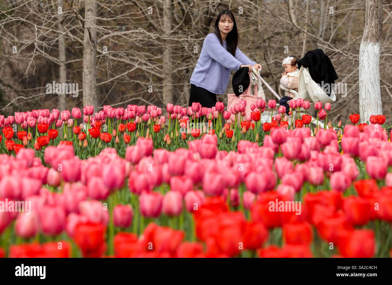 **CHINESE MAINLAND, HONG KONG, MACAU AND TAIWAN OUT** Tourists admire ...