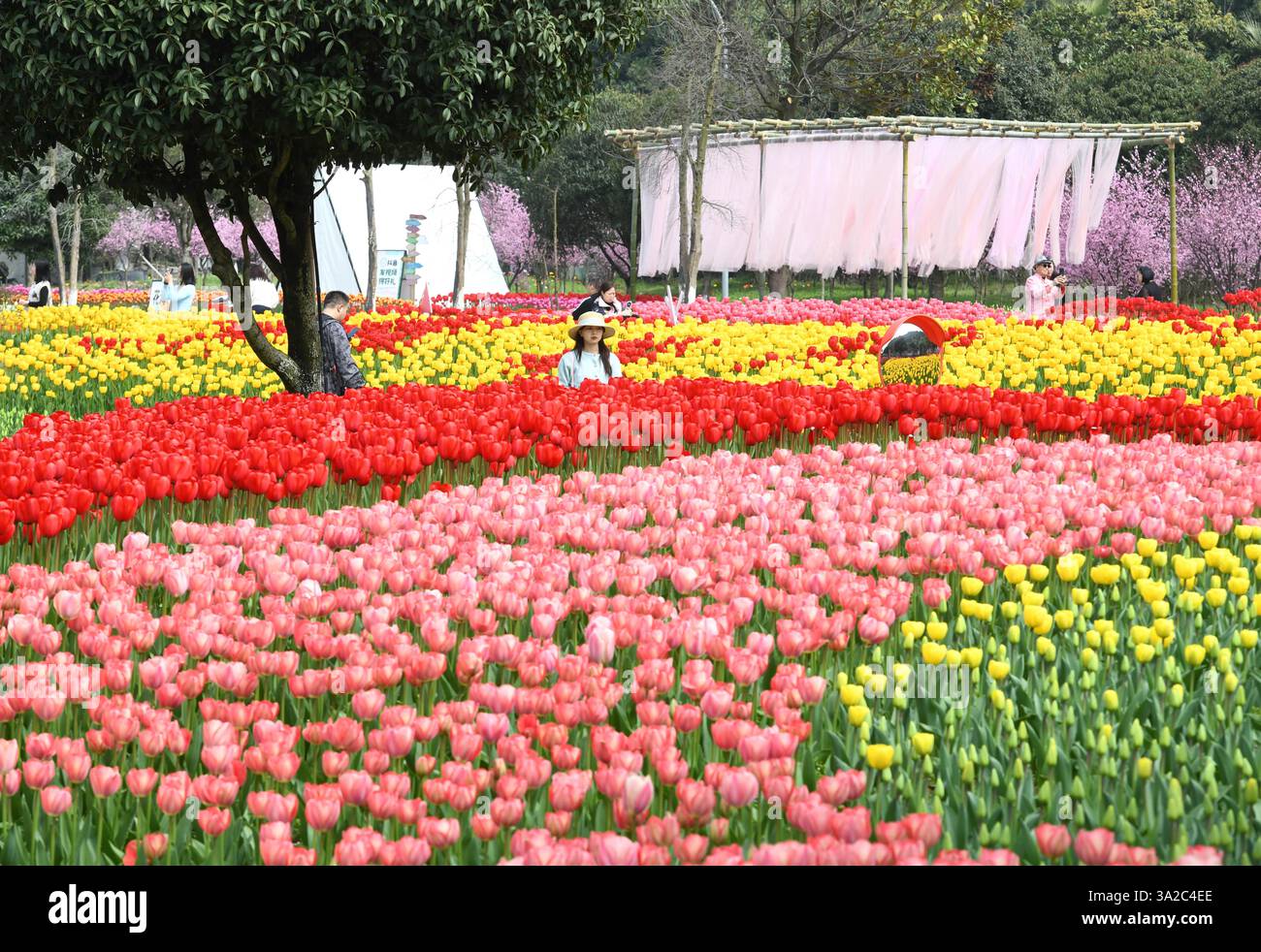 **CHINESE MAINLAND, HONG KONG, MACAU AND TAIWAN OUT** Tourists admire ...