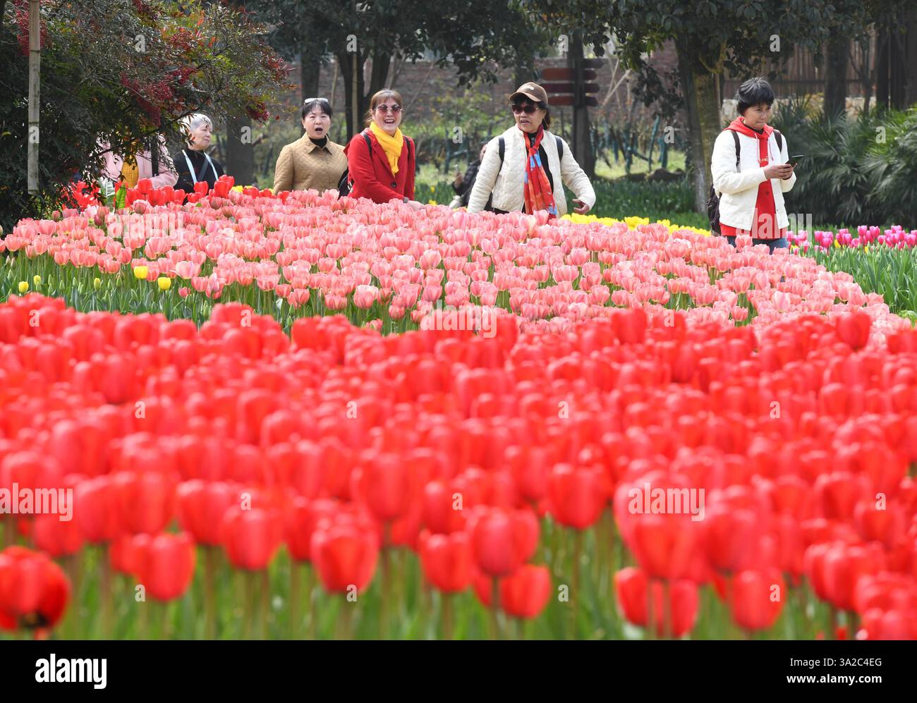 **CHINESE MAINLAND, HONG KONG, MACAU AND TAIWAN OUT** Tourists admire ...