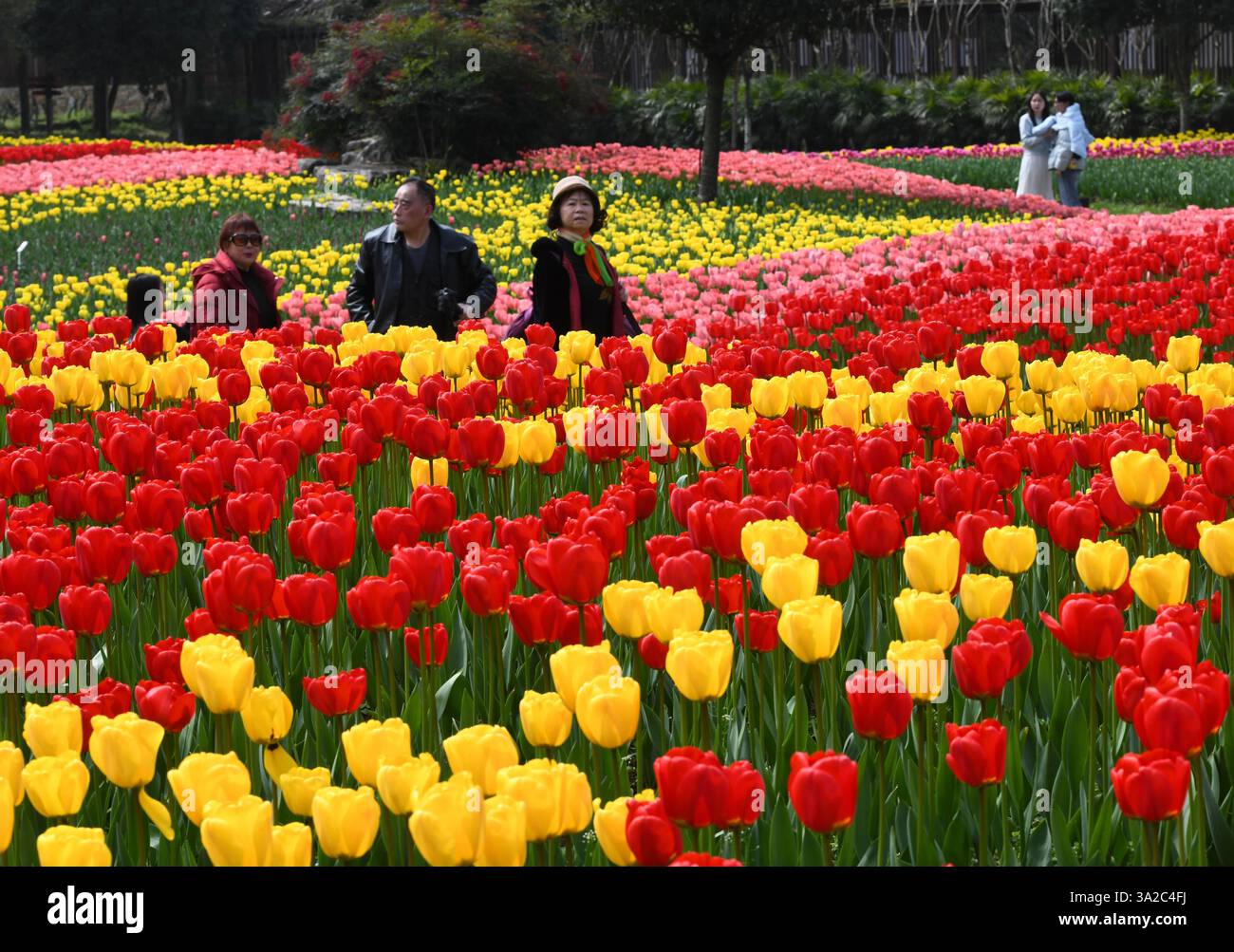 **CHINESE MAINLAND, HONG KONG, MACAU AND TAIWAN OUT** Tourists admire ...