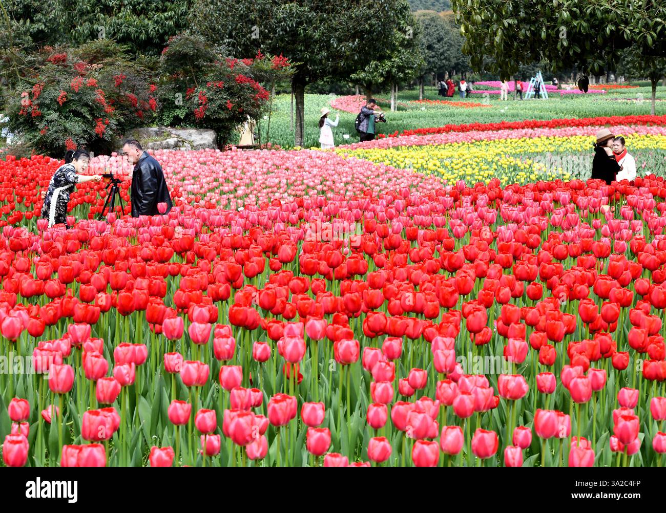 **CHINESE MAINLAND, HONG KONG, MACAU AND TAIWAN OUT** Tourists admire ...