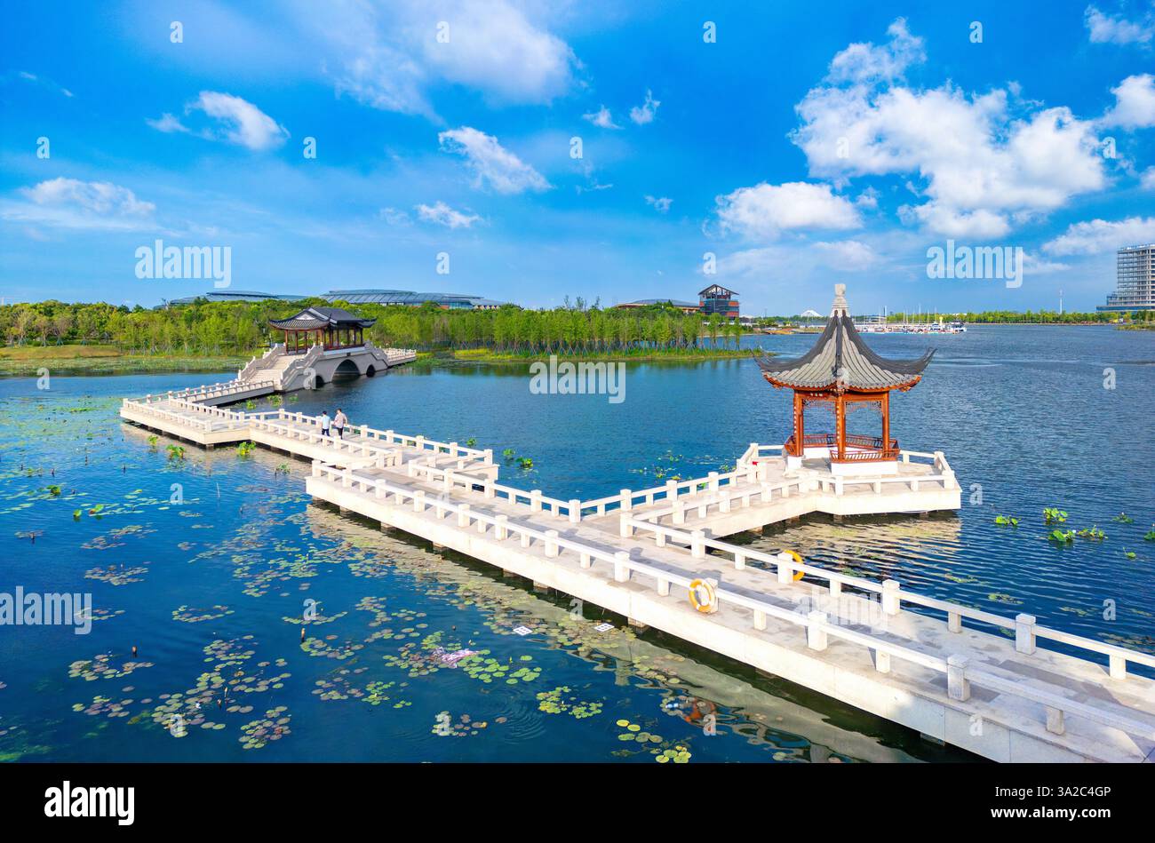 Aerial view of Dripping Lake South Island, Lingang New Town, Shanghai ...
