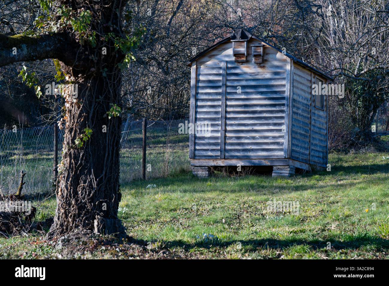 Simple tool shed in a garden on a slope Stock Photo - Alamy