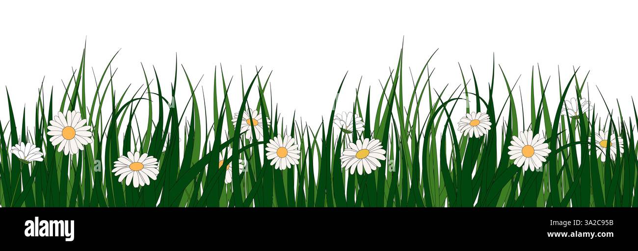 Green grass horizontal background, frame Stock Vector Image & Art - Alamy
