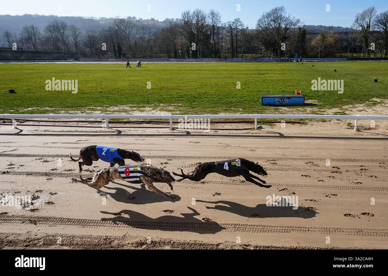 Greyhounds racing at Valley Greyhound Stadium in Ystrad Mynach ...