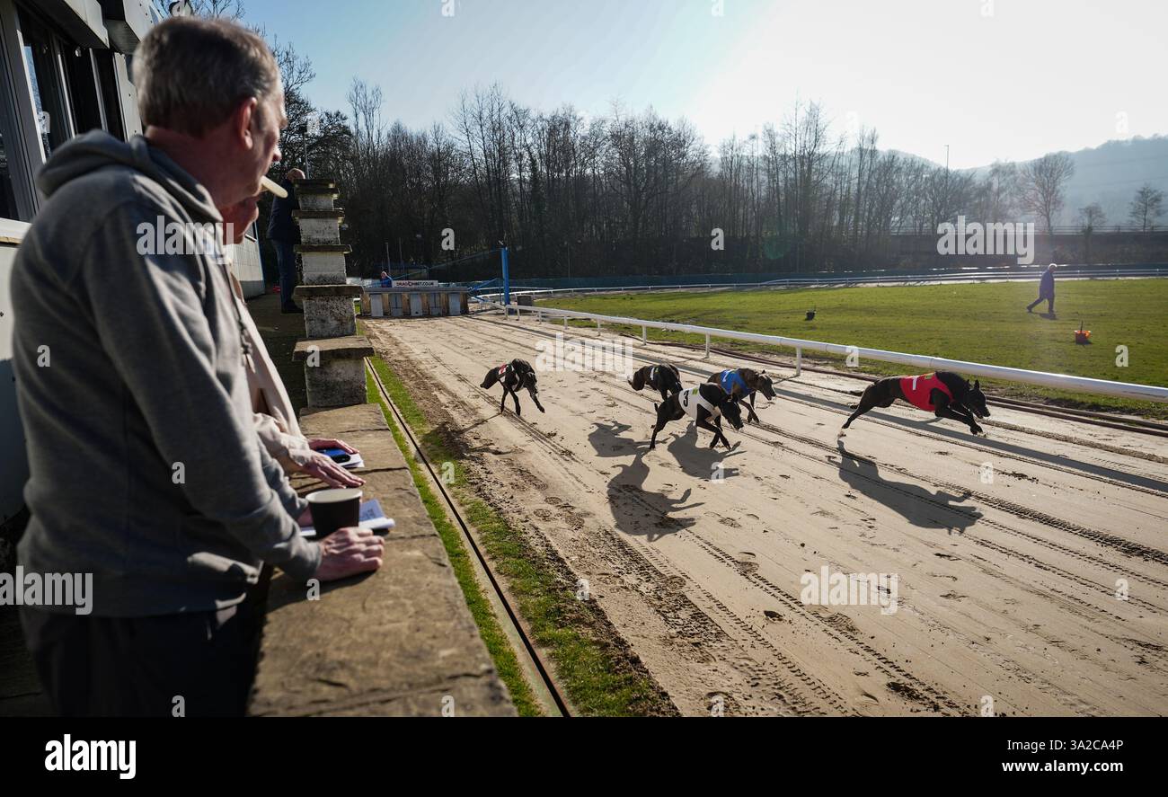 Greyhounds racing at Valley Greyhound Stadium in Ystrad Mynach ...