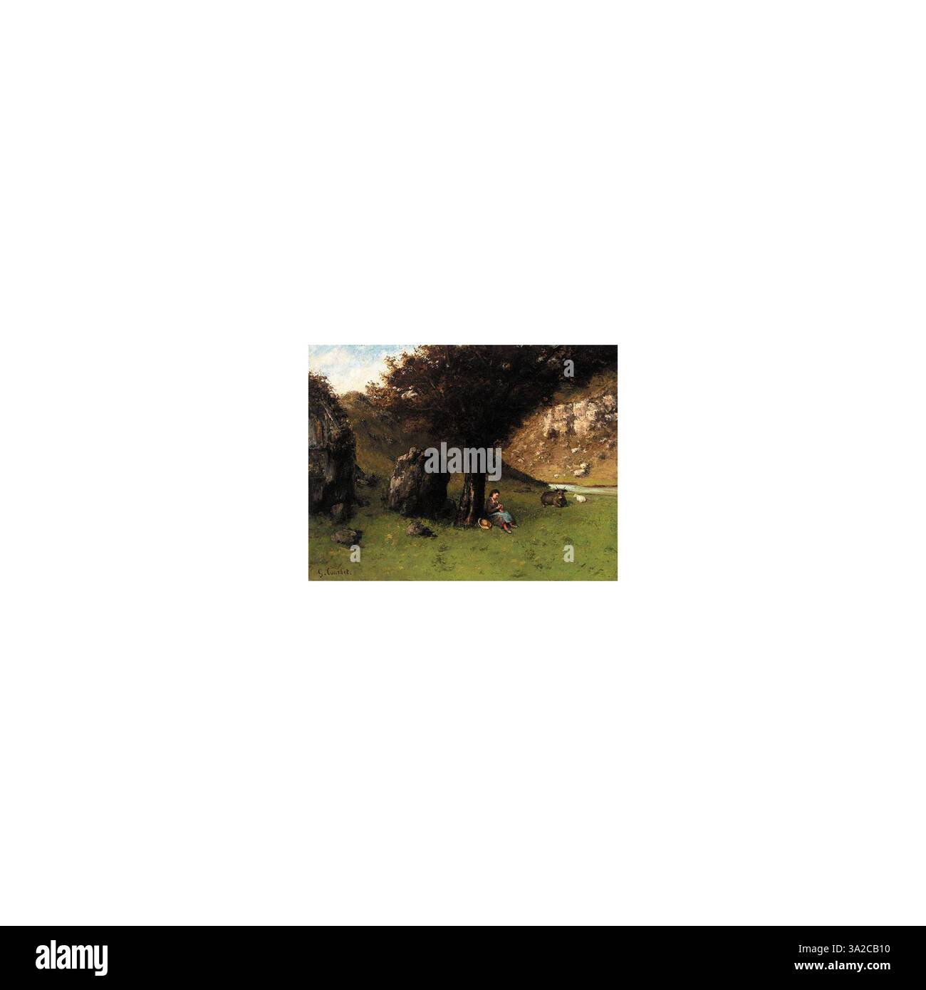 Study in natural form Cut Out Stock Images & Pictures - Alamy