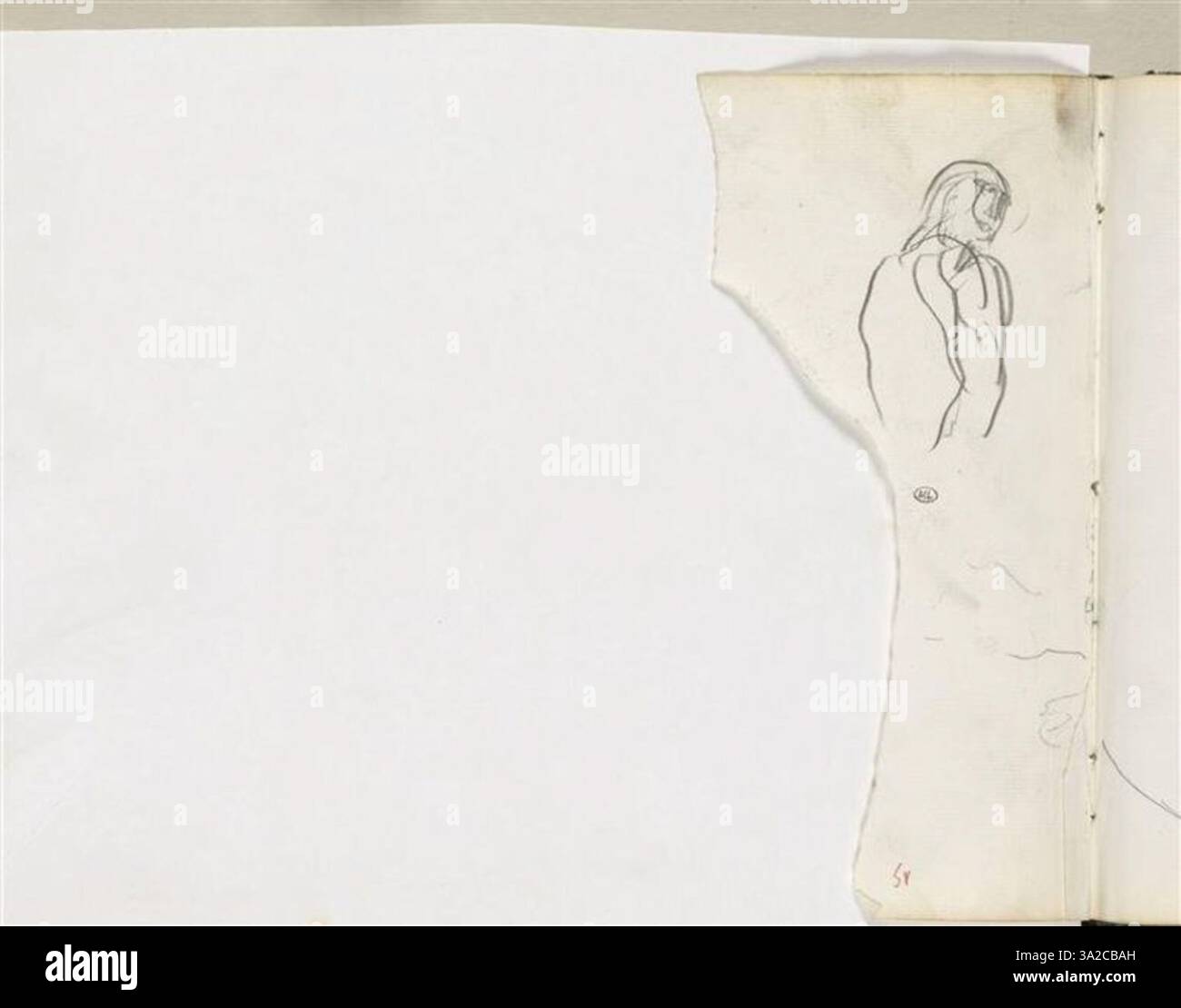 Precise anatomical accuracy hi-res stock photography and images - Alamy