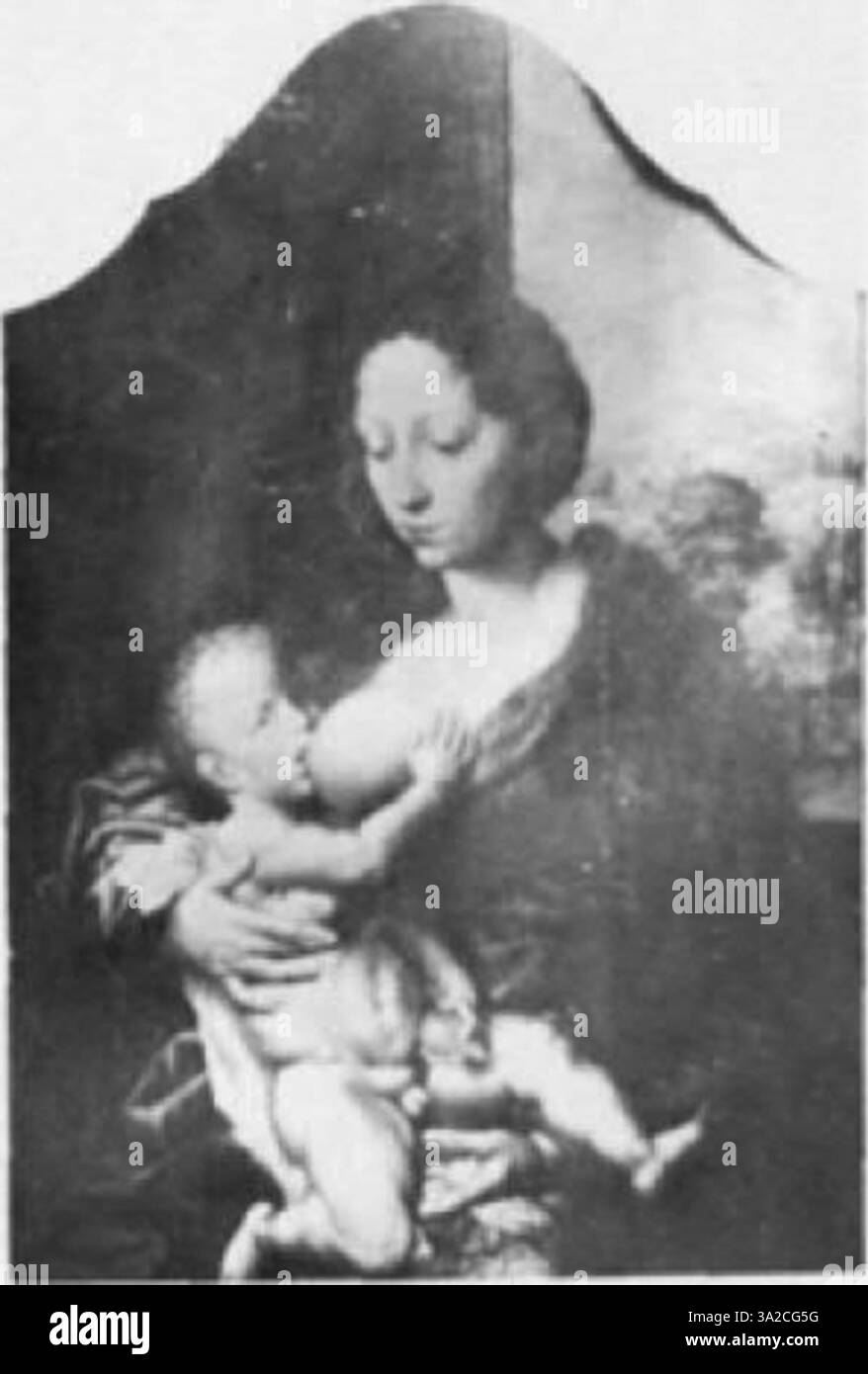 This piece continues to showcase the work of Jan van Scorel and Pieter Coeck van Aelst ...