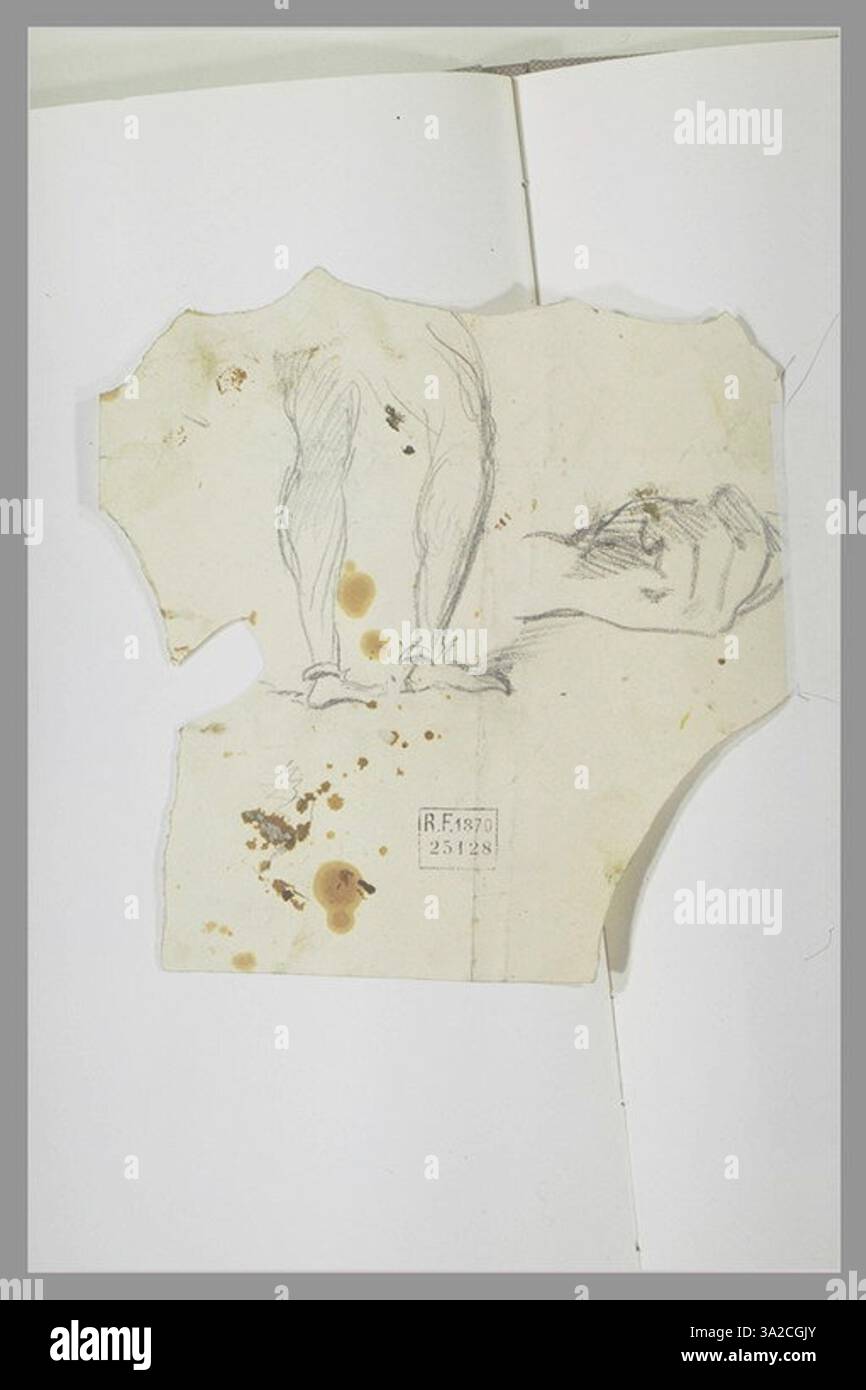 Proportions corporelles hi-res stock photography and images - Alamy