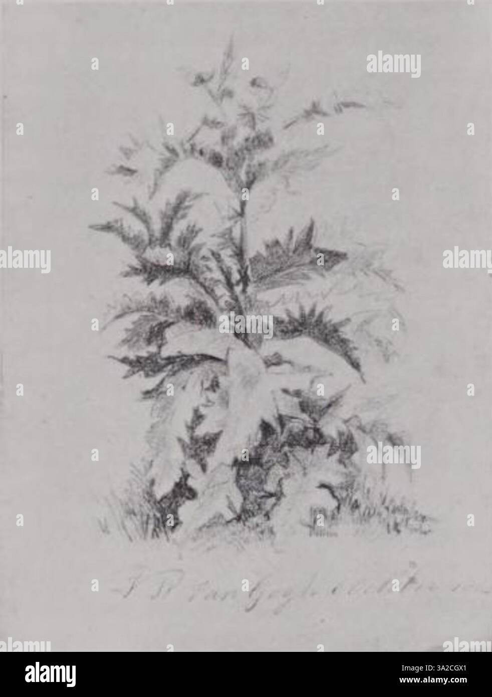 This early juvenile drawing by Vincent van Gogh features a study of the ...