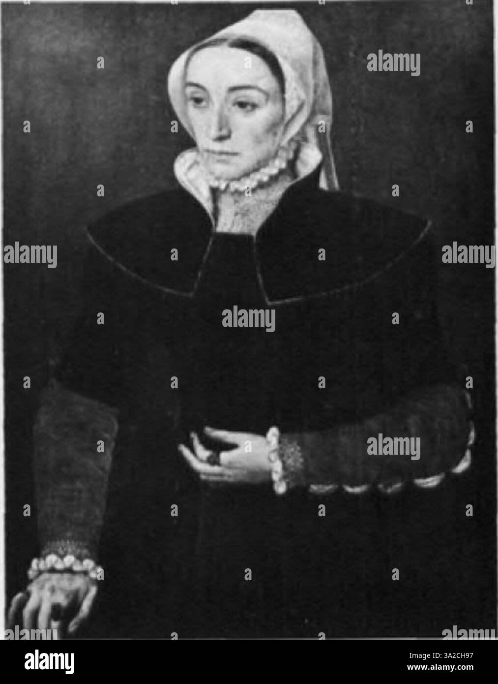 Antonis Mor's portrait emphasizes a noble figure with expressive eyes ...