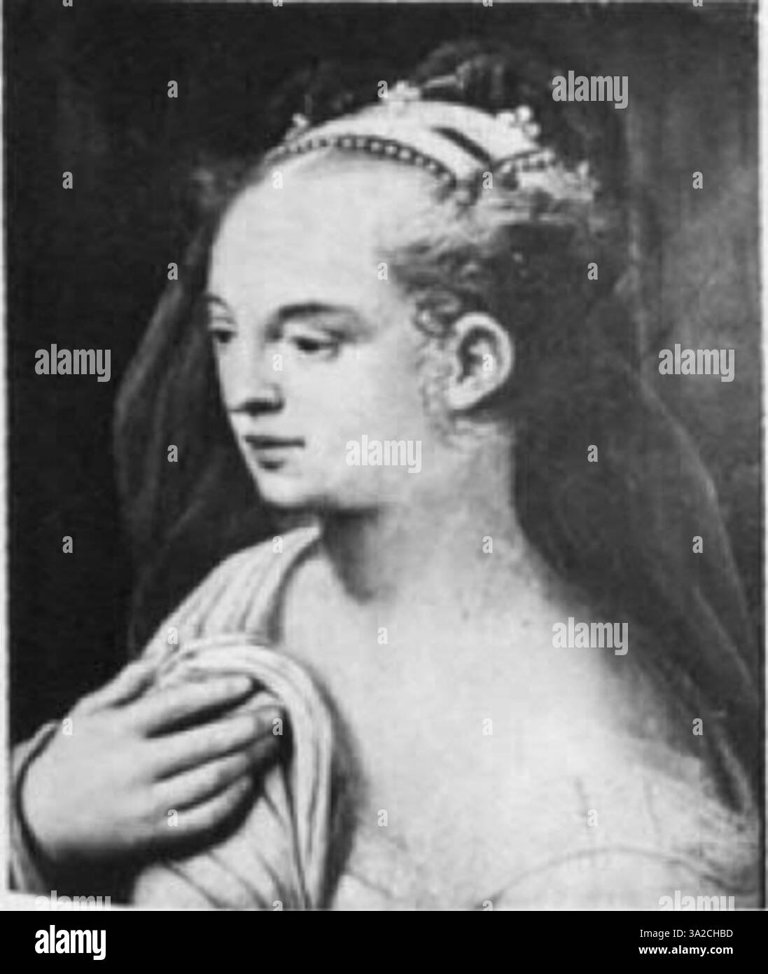 In this painting, Antonis Mor captures the sitter’s features and attire ...