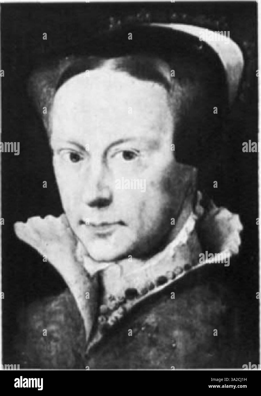 This portrait depicts a noble figure in luxurious clothing, their noble ...