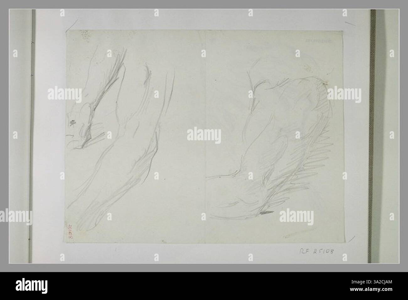 A study of arms, focusing on the muscular structure, posture, and fine ...