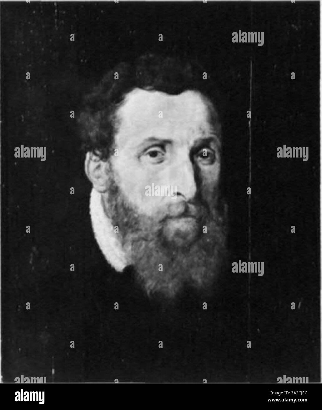 A detailed portrait by Antonis Mor, displaying his skill in capturing ...