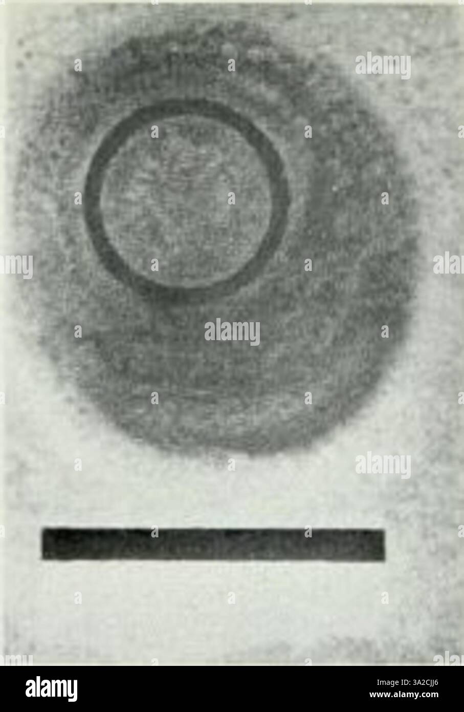 Grohmann 176 By Wassily Kandinsky Is A Vibrant Abstract Work Featuring Dynamic Color