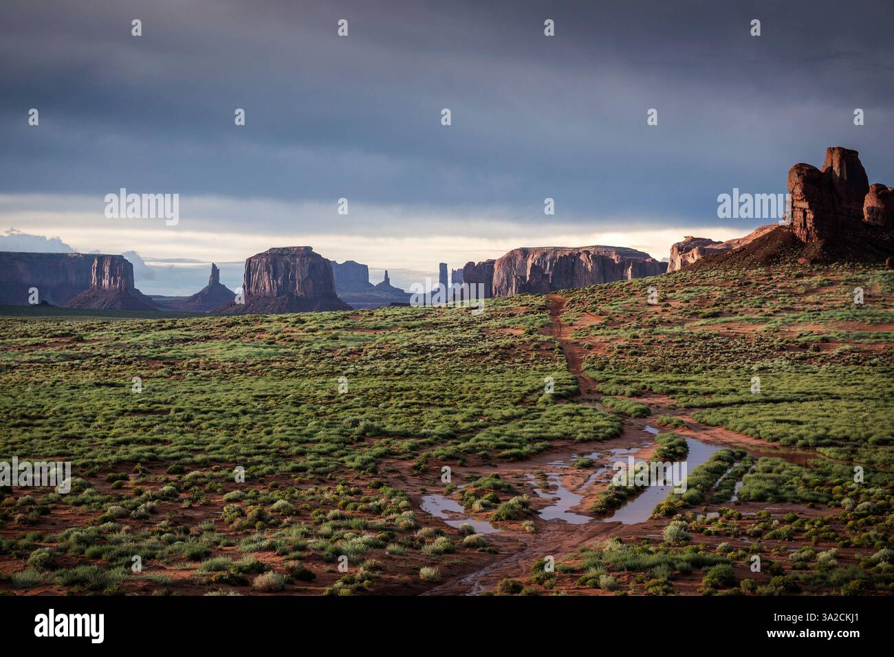 Monument valley after rains Stock Photo - Alamy