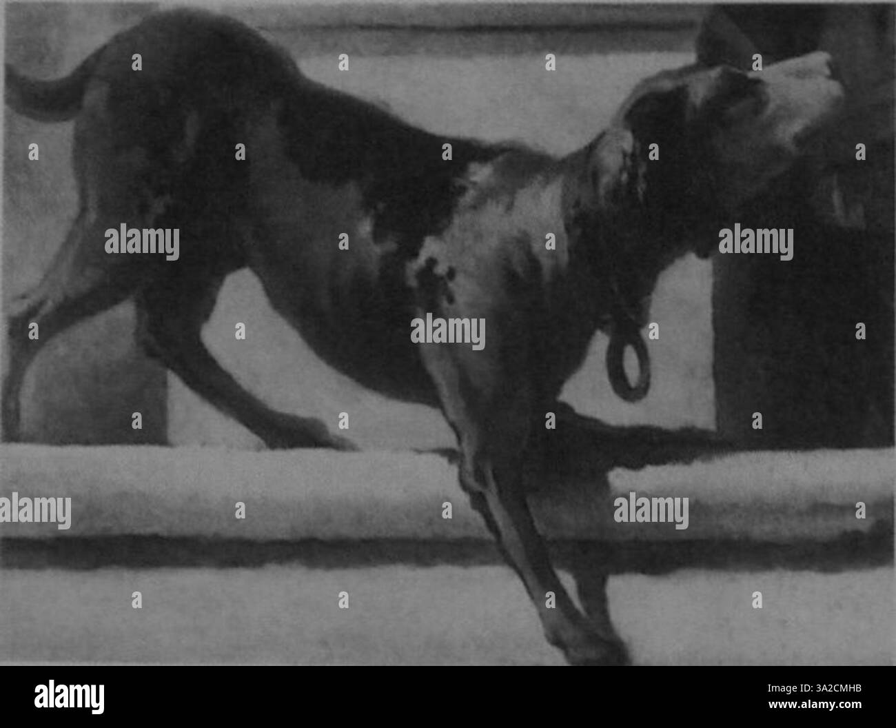 'Chien' by Giovanni Battista Tiepolo depicts a dog, rendered in Tiepolo ...