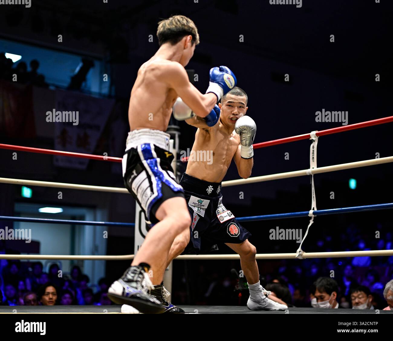 Tokyo, Japan. 1st Mar, 2025. Champion Riku Masuda (silver gloves) throws a right at challenger ...