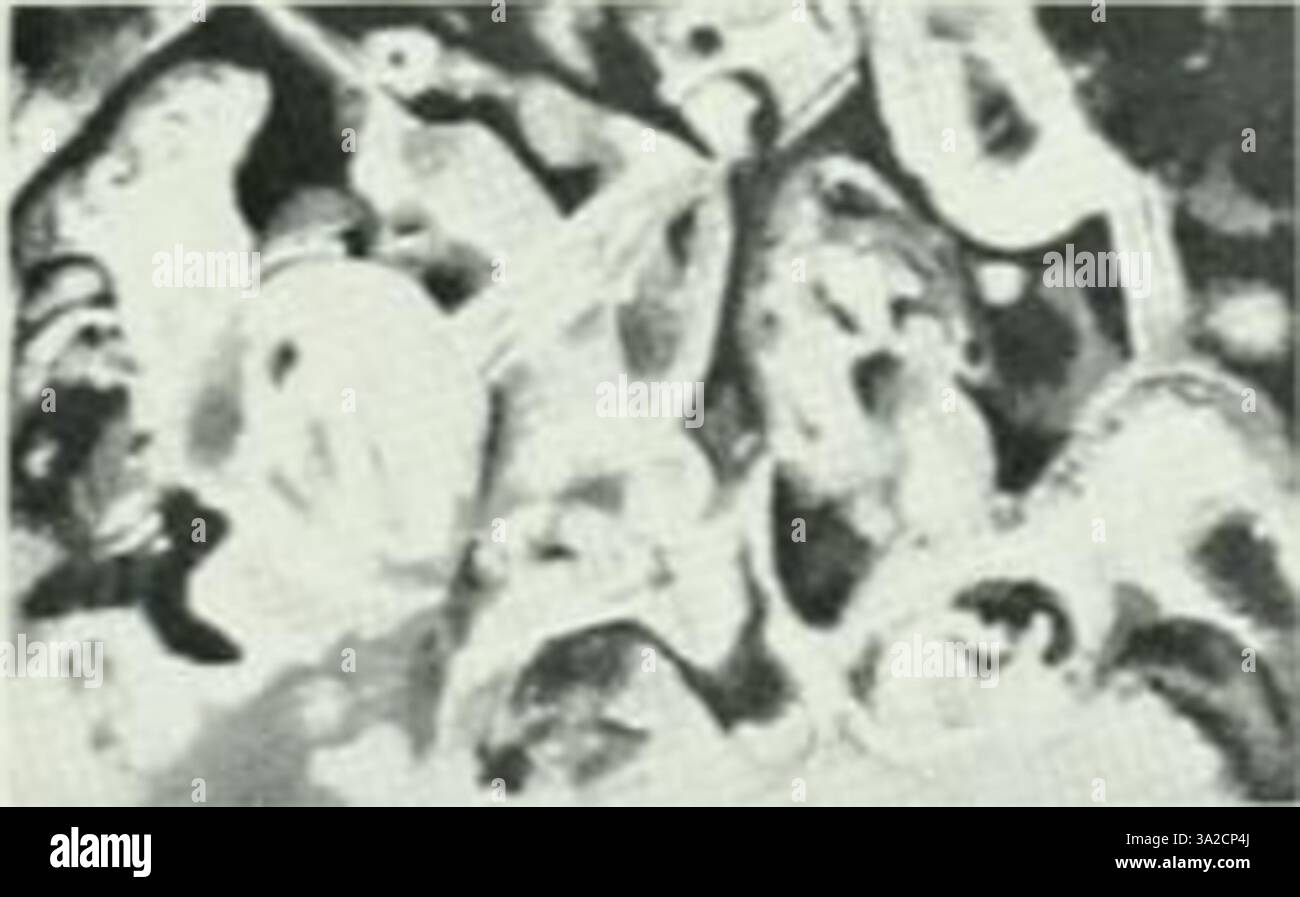 This artwork by Wassily Kandinsky features a bold use of primary colors ...