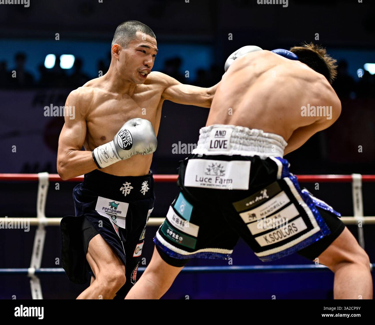 Tokyo, Japan. 1st Mar, 2025. Champion Riku Masuda (silver gloves) throws a left at challenger ...