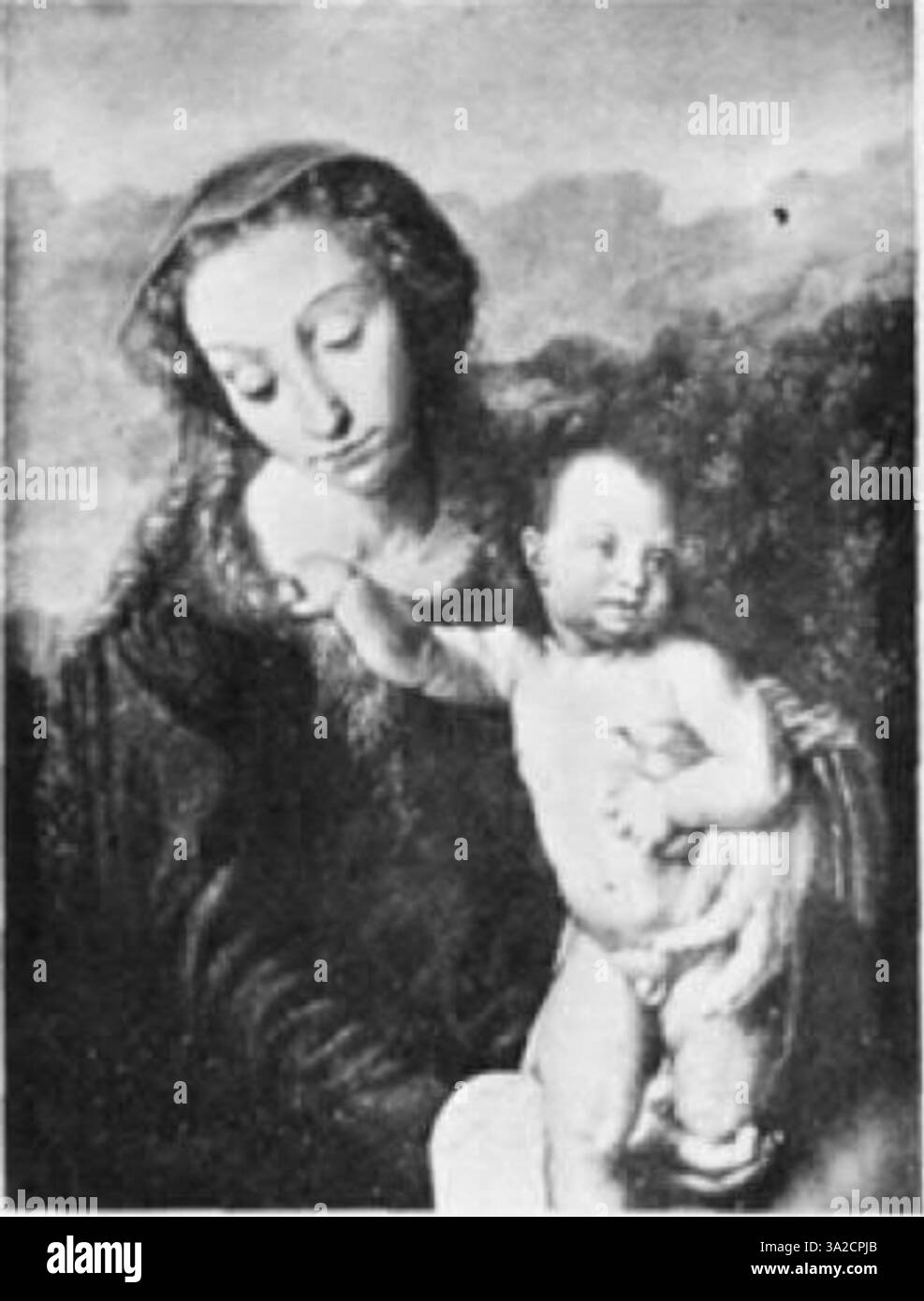 This image features the works of Jan van Scorel and Pieter Coeck van ...