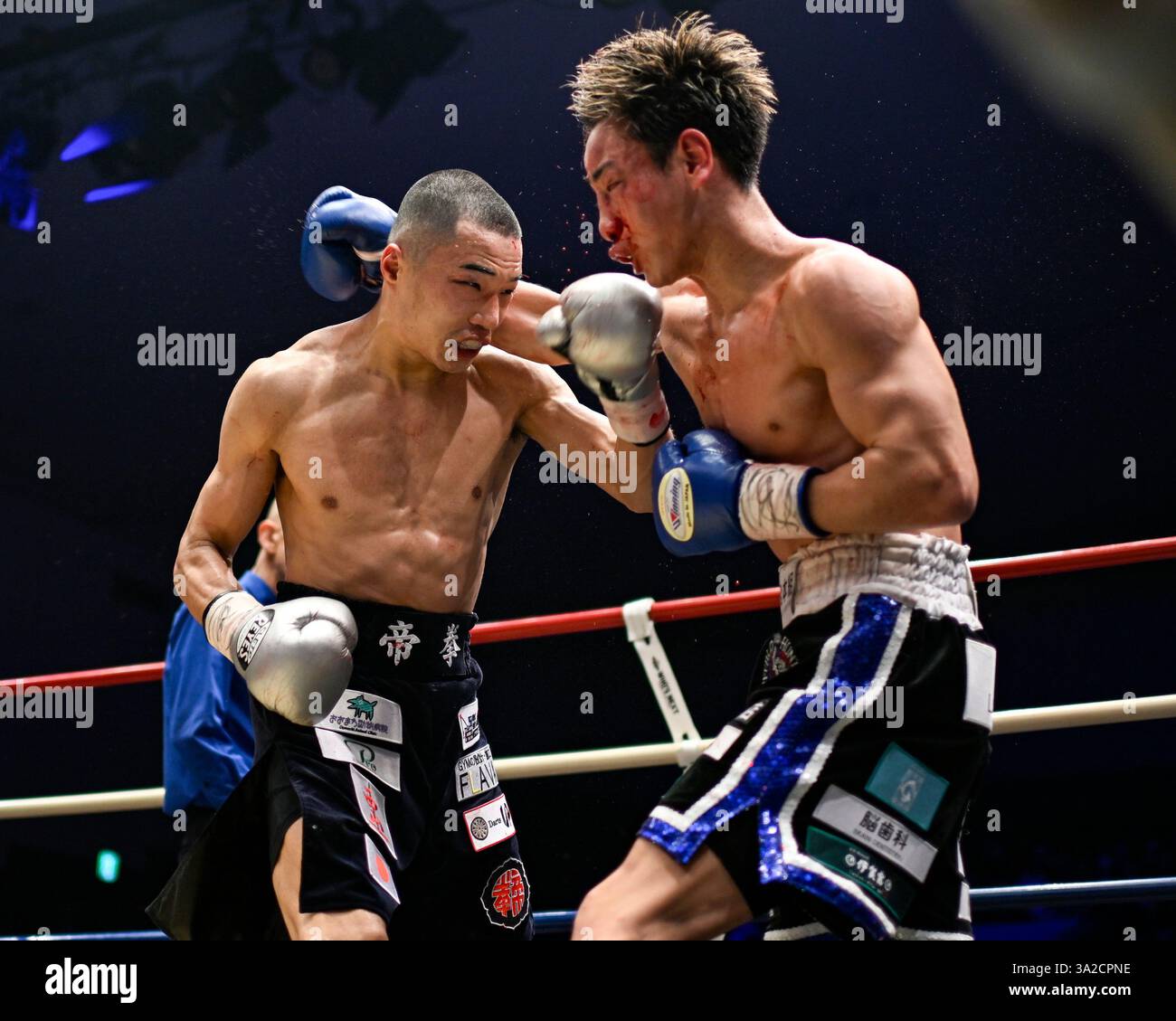 Tokyo, Japan. 1st Mar, 2025. Champion Riku Masuda (silver gloves) hits challenger Kaisei ...