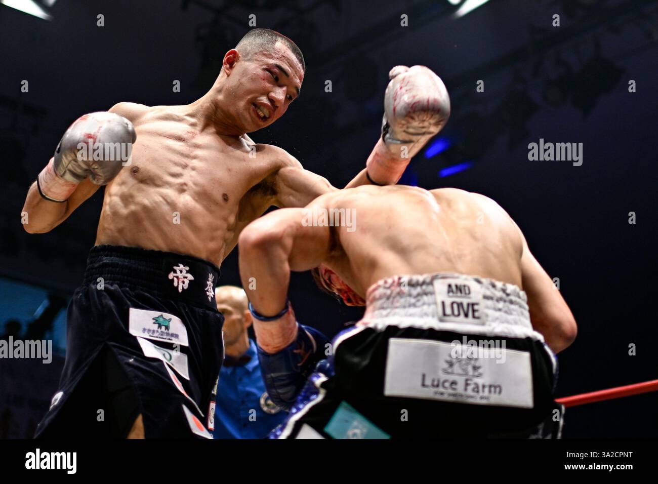 Tokyo, Japan. 1st Mar, 2025. Champion Riku Masuda (silver gloves) throws a left at challenger ...