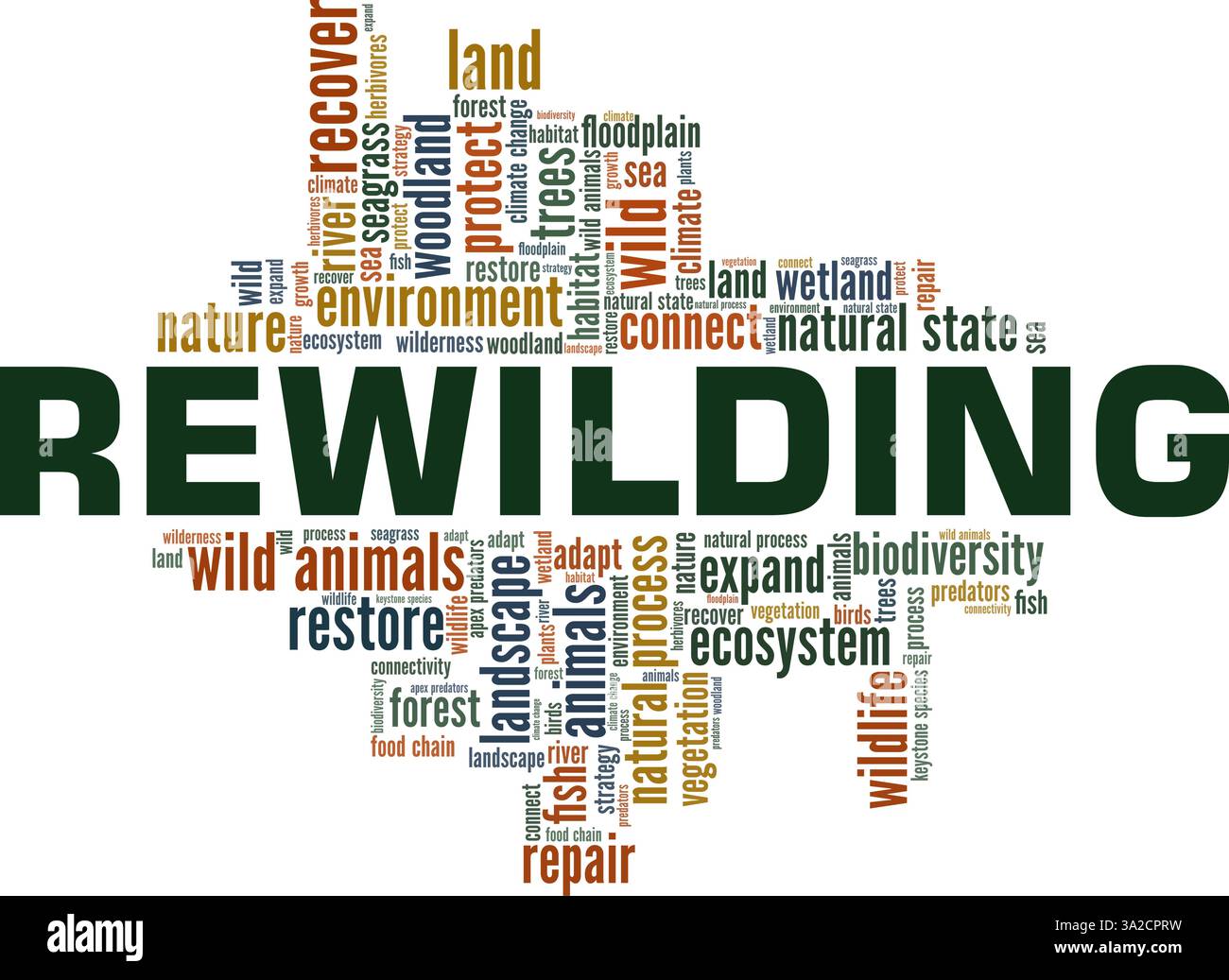 Graphic rewilding hi-res stock photography and images - Alamy