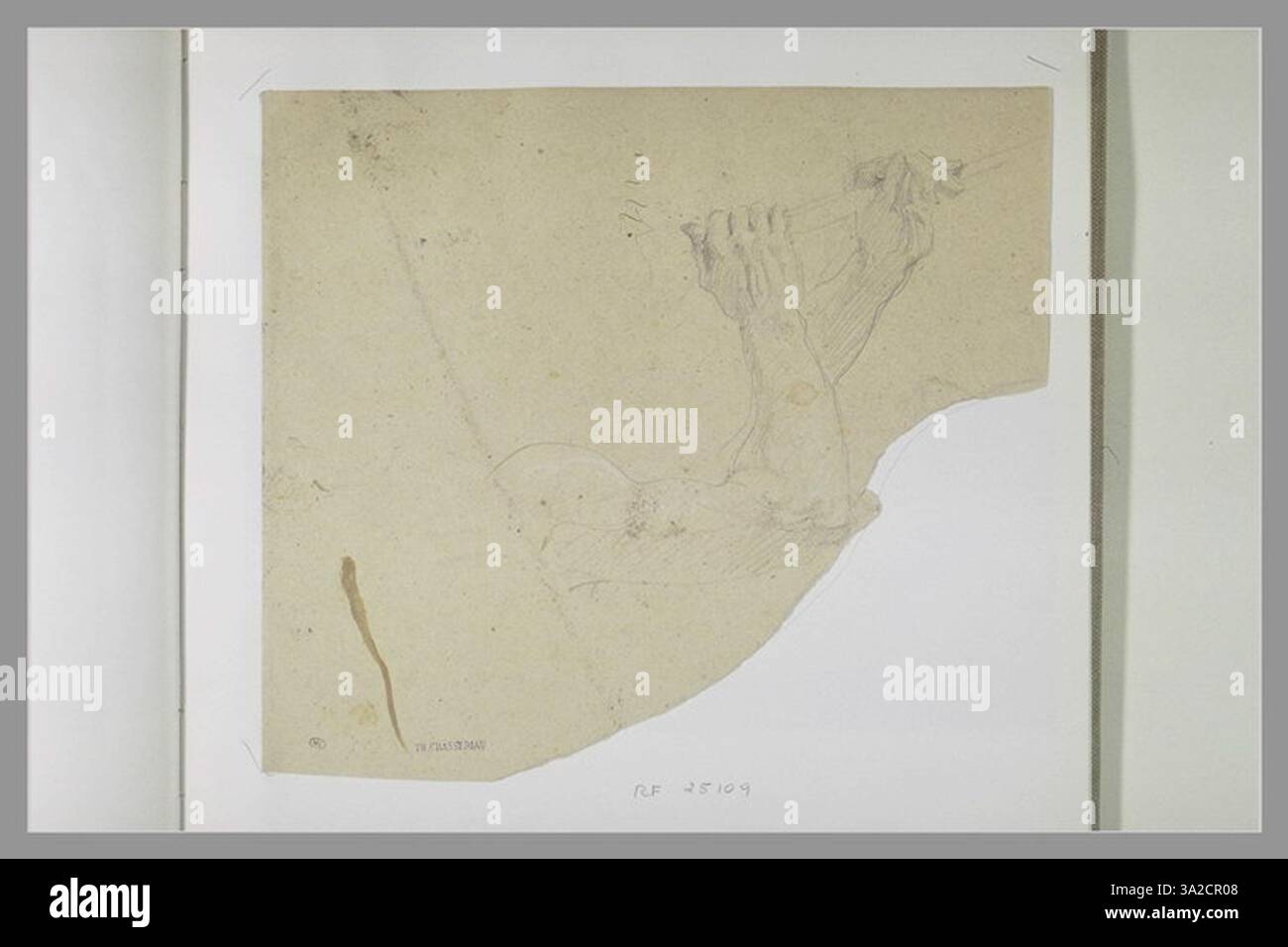 This work features a hand grasping a stick, with an emphasis on the ...