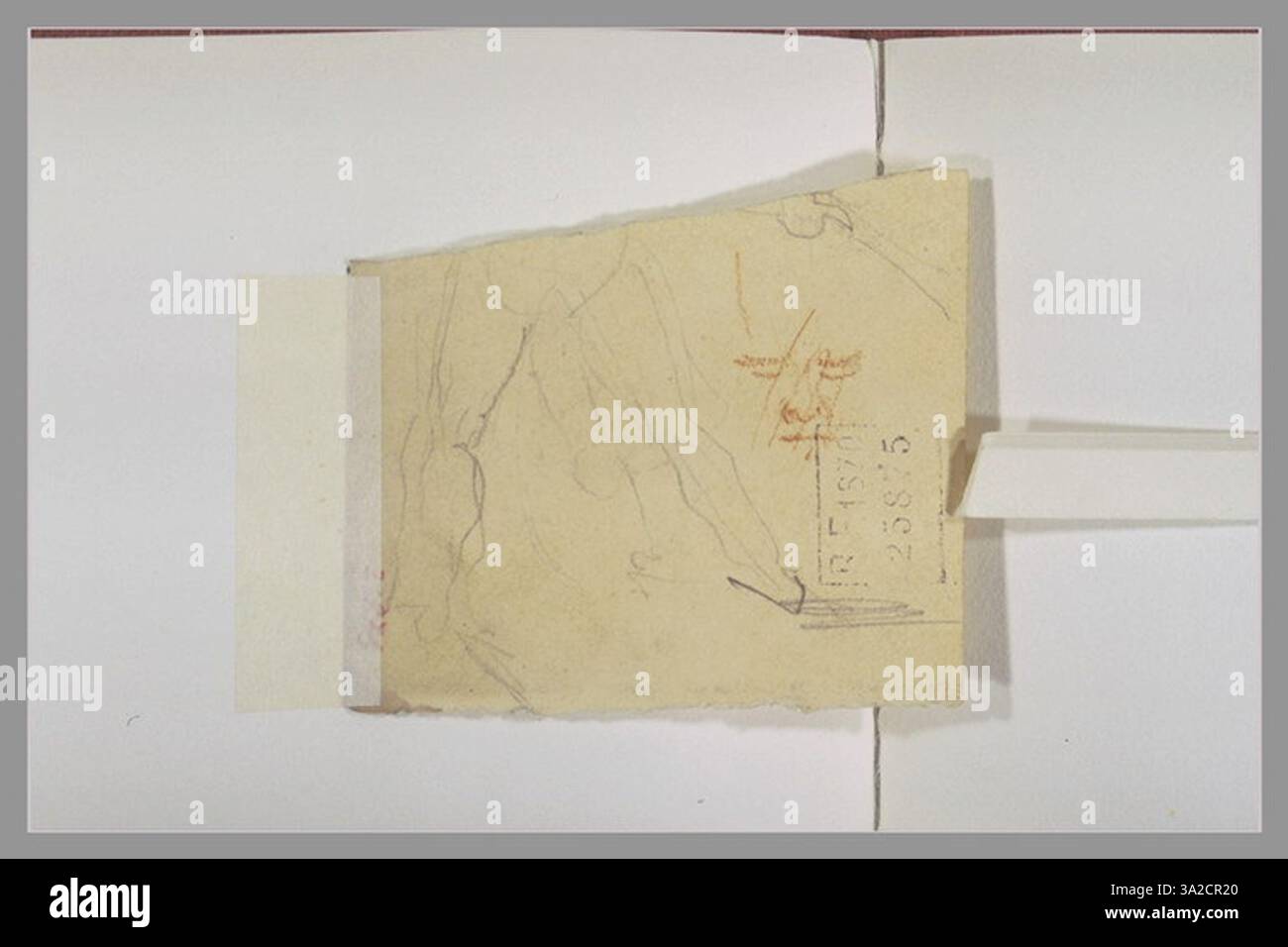 This drawing depicts the legs of a man, emphasizing the muscular ...