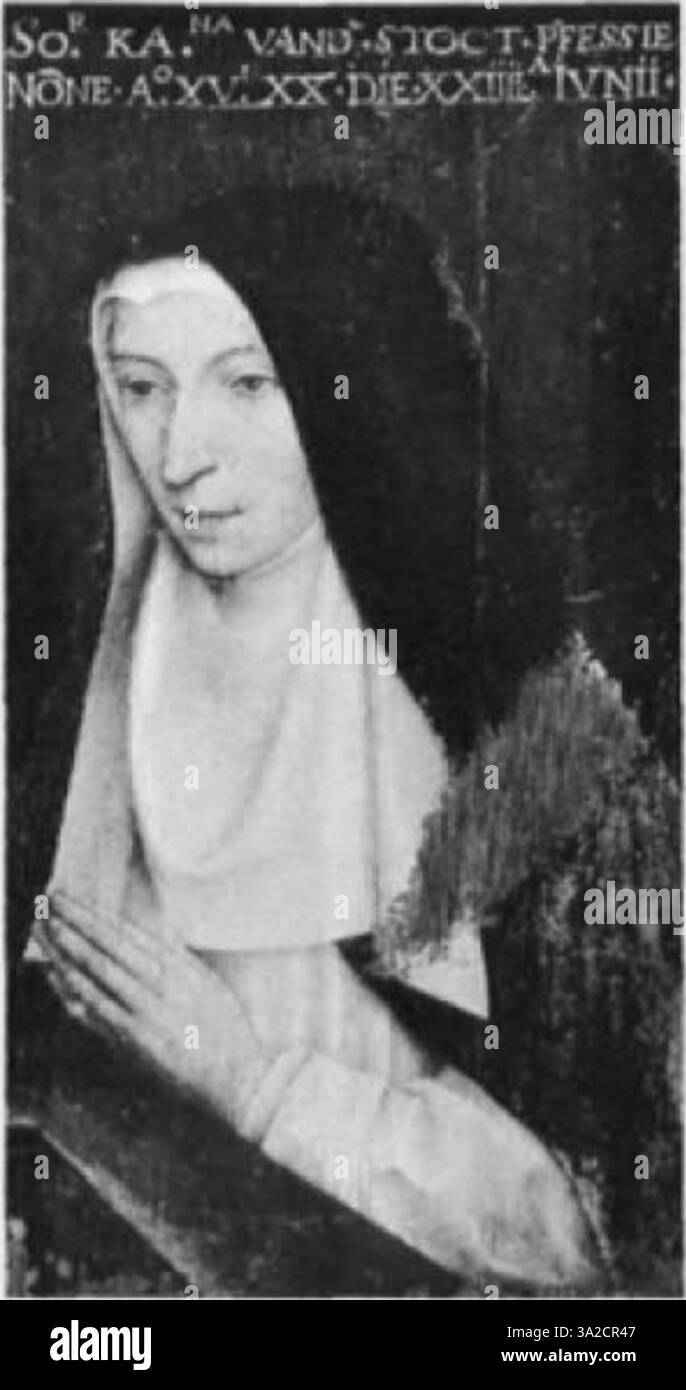 This piece combines the meticulous detail of Flemish artists with rich ...