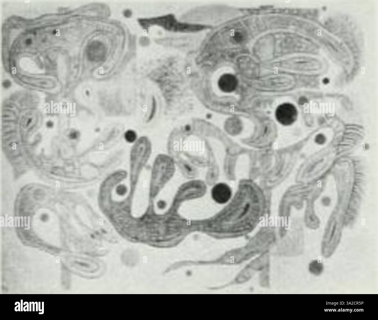 '463' by Wassily Kandinsky features dynamic abstract forms and a rich ...