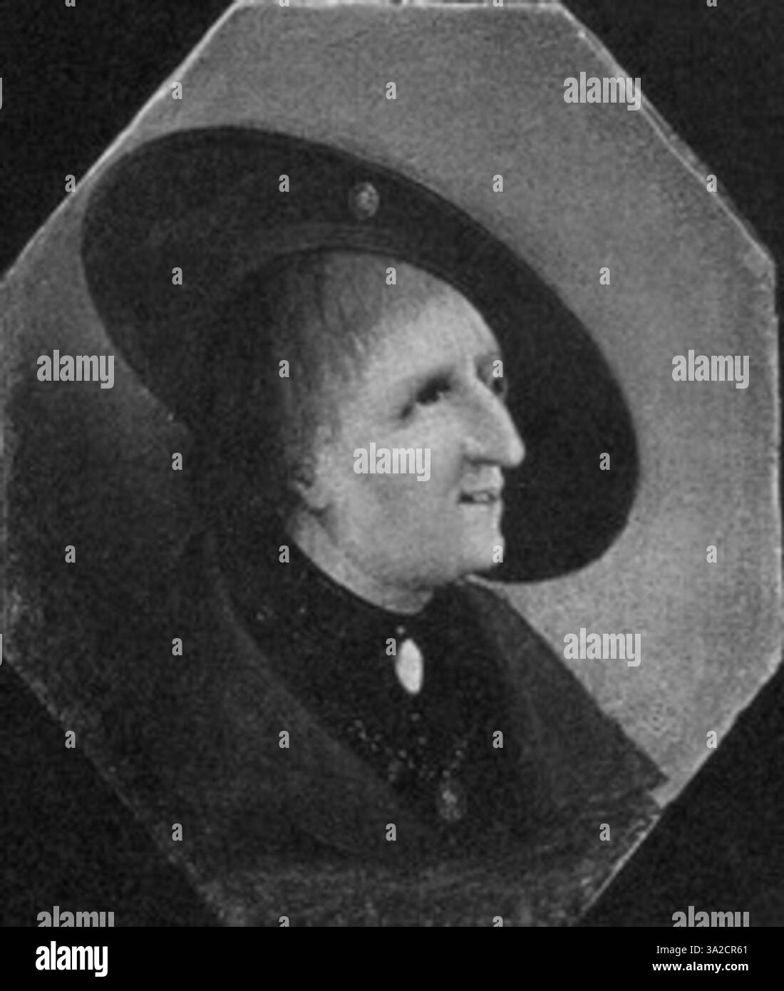 A cropped version of the 16th or 17th-century portrait by Lucas van ...