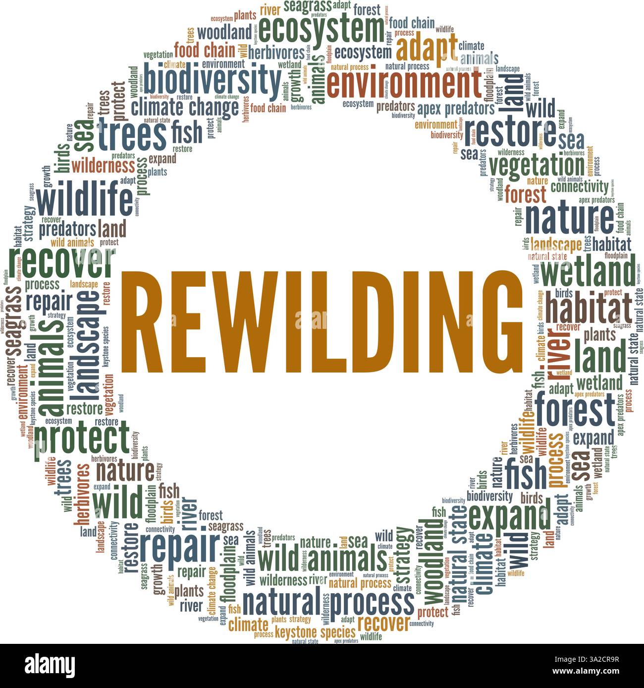 Graphic rewilding hi-res stock photography and images - Alamy