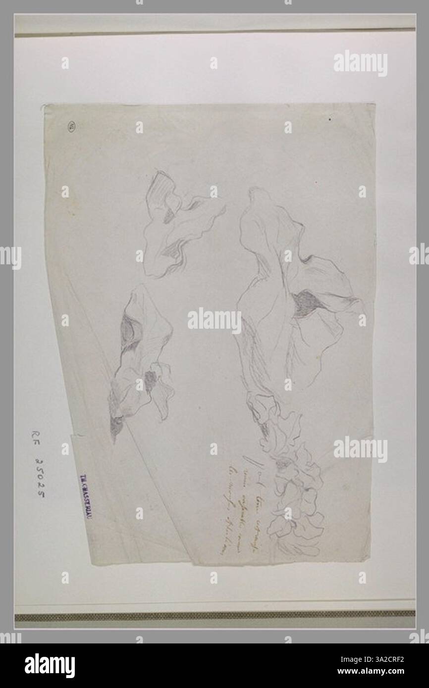This study depicts flowers, focusing on their natural forms and ...