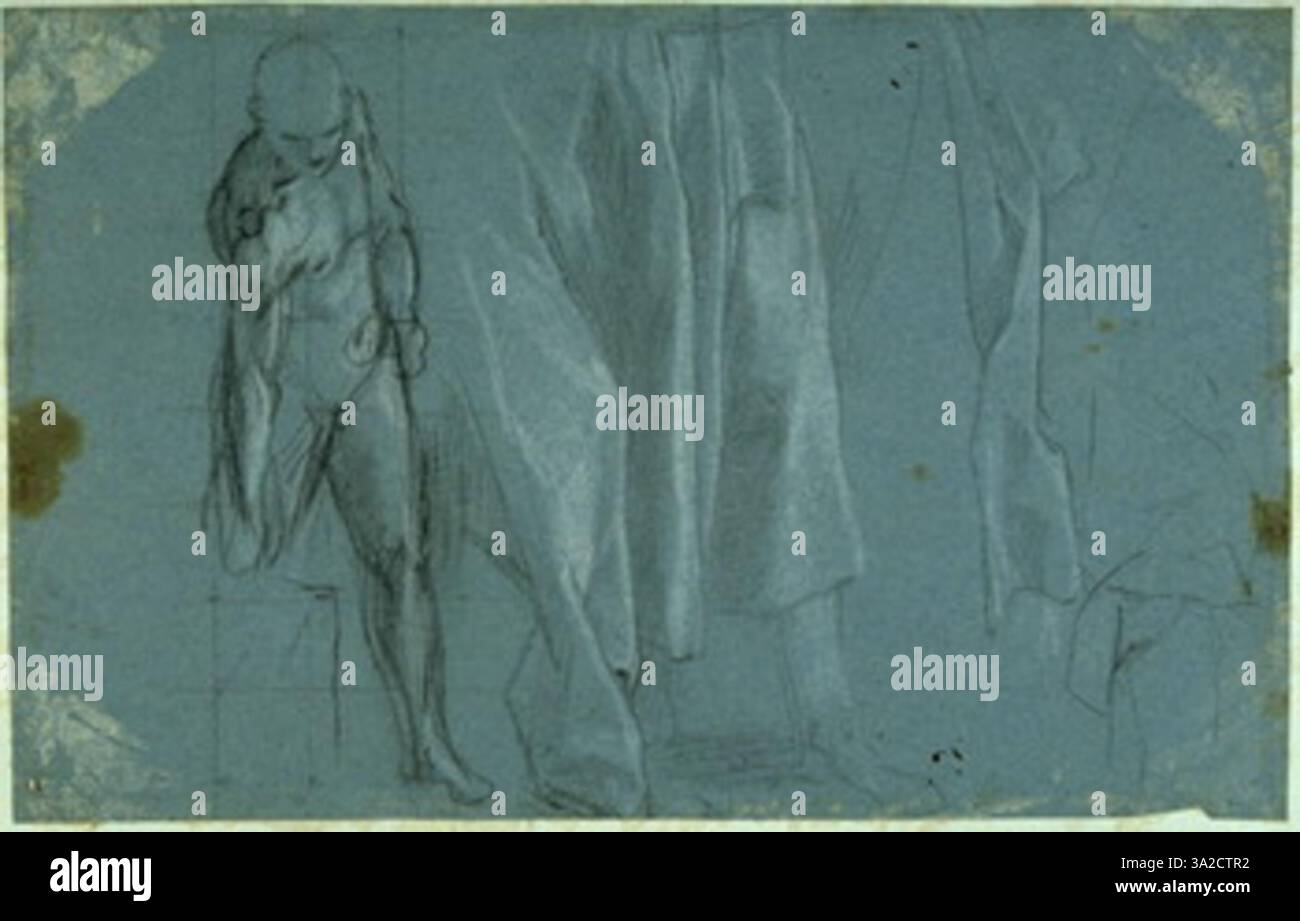 Another detailed study of a hand holding a chicken, focusing on ...