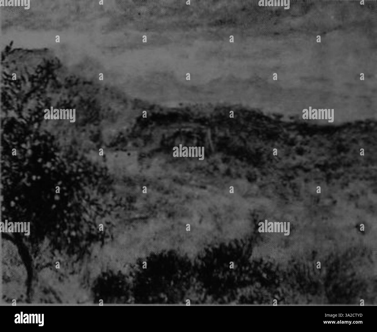 A portrait from Pierre-Auguste Renoir, a leading figure in ...