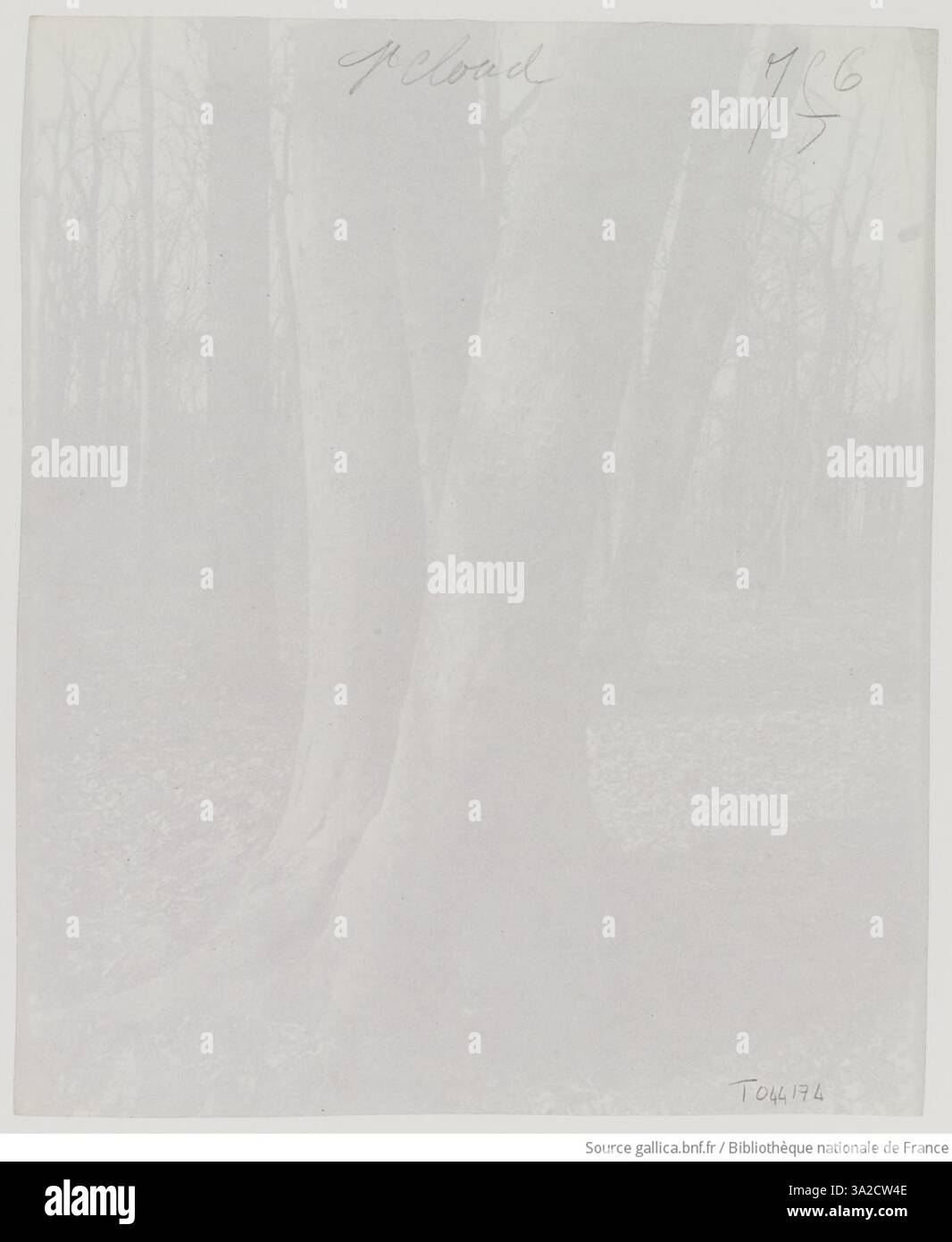 Eugène Atget’s photograph of St. Cloud park presents its expansive ...