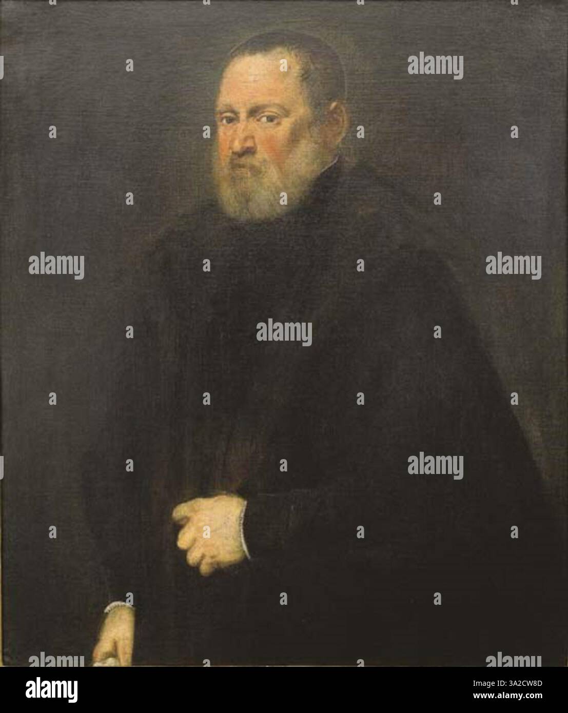 This half-length portrait by Jacopo Tintoretto depicts a man dressed in ...