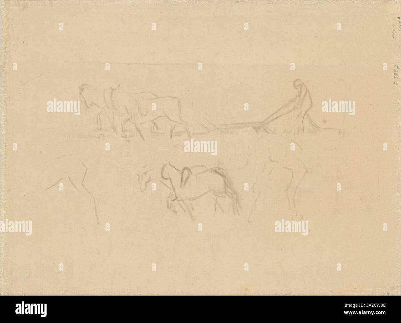 Vincent van Gogh's dynamic brushwork and vibrant color contrasts bring ...