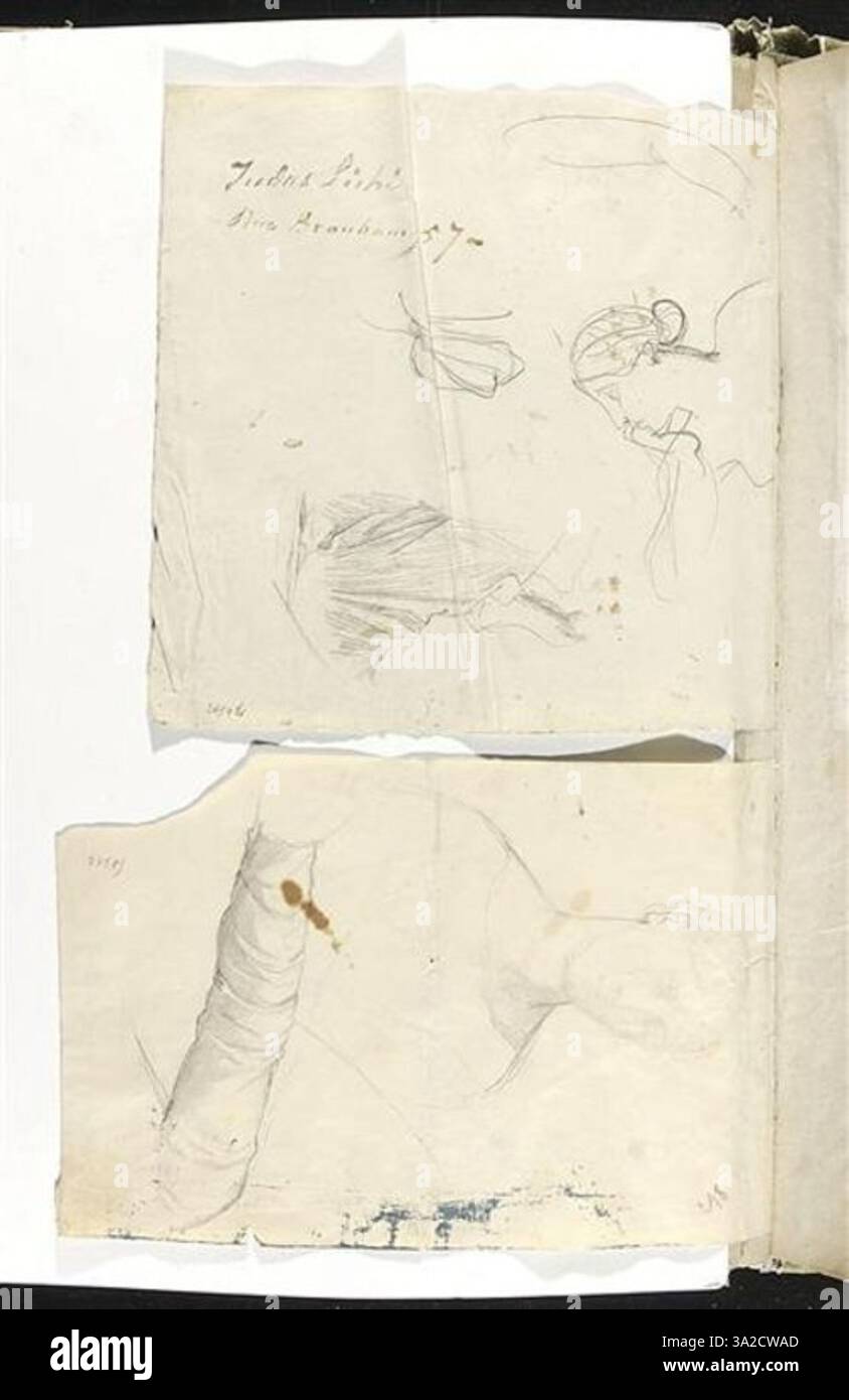 This study depicts the bust of a woman turned left, with drapery ...