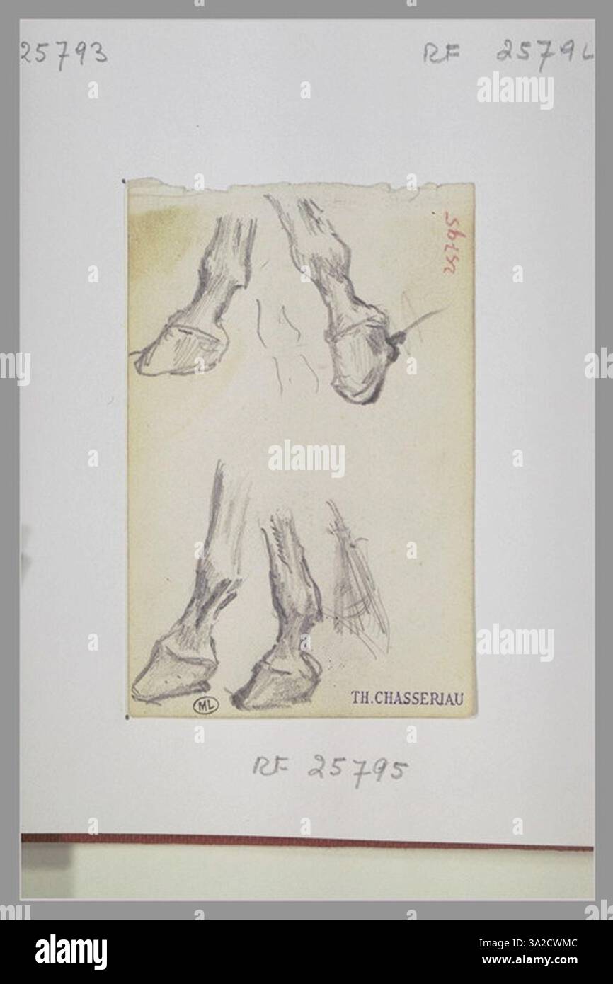 This drawing showcases two studies of horse legs, with focus on ...
