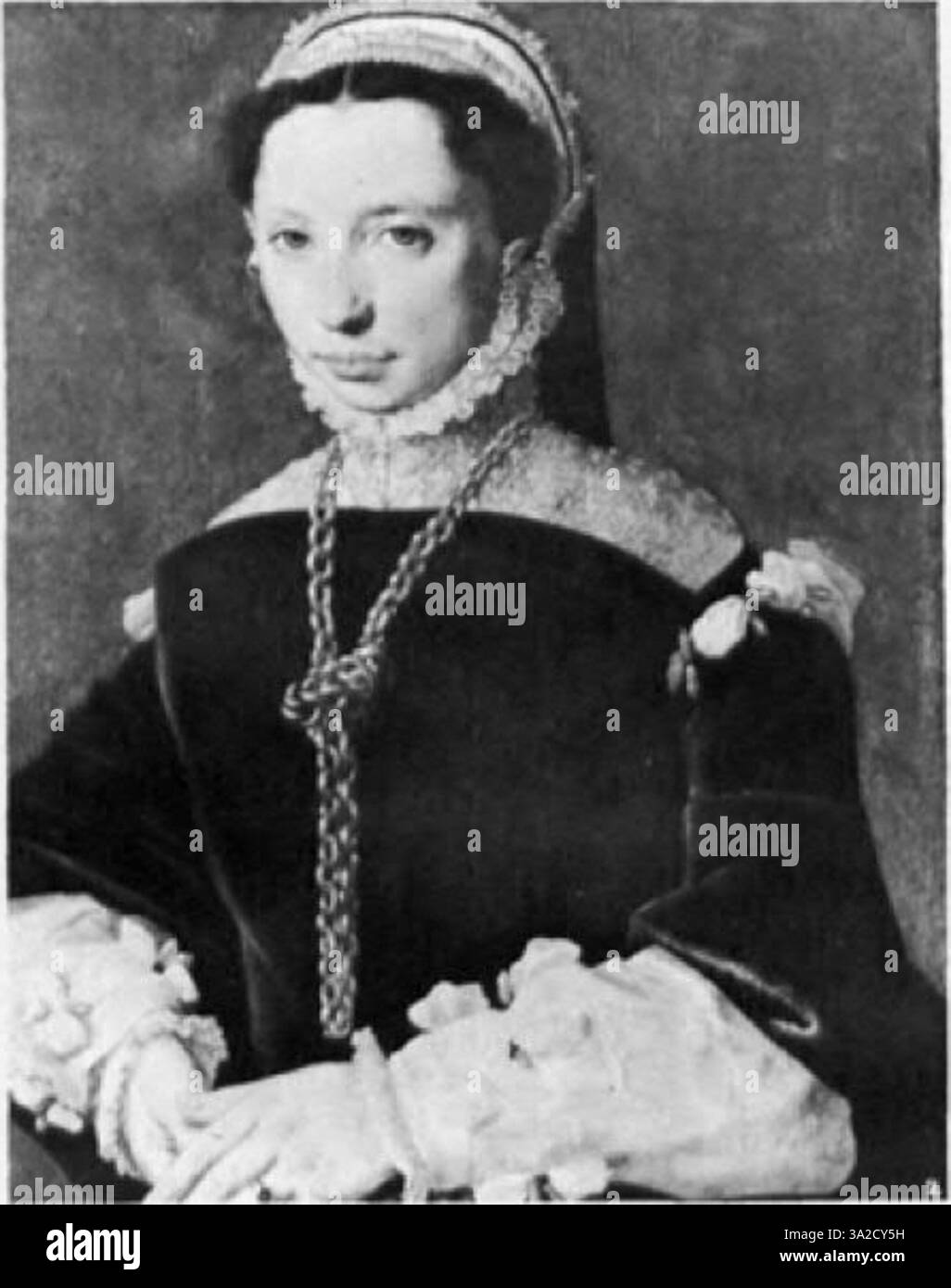 Antonis Mor’s work in this piece reflects the meticulous attention to ...