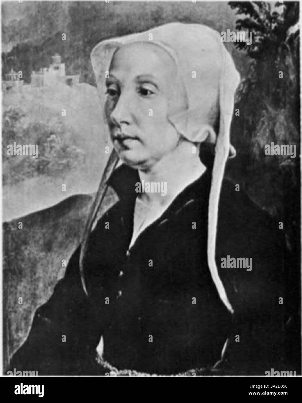 In this detailed portrait by Antonis Mor, the sitter’s social status is ...