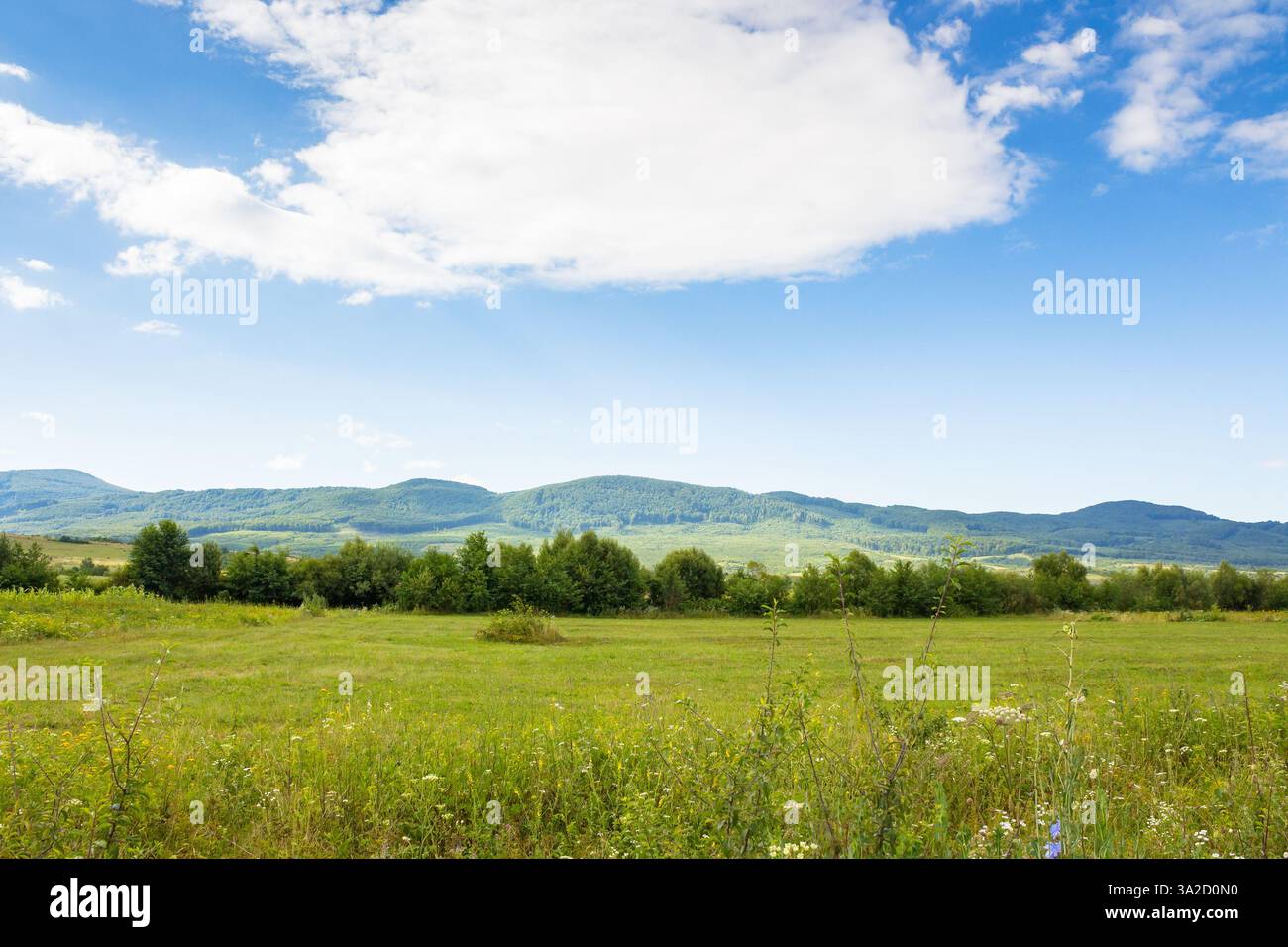 countryside landscape with field near the hill. beautiful nature of ...